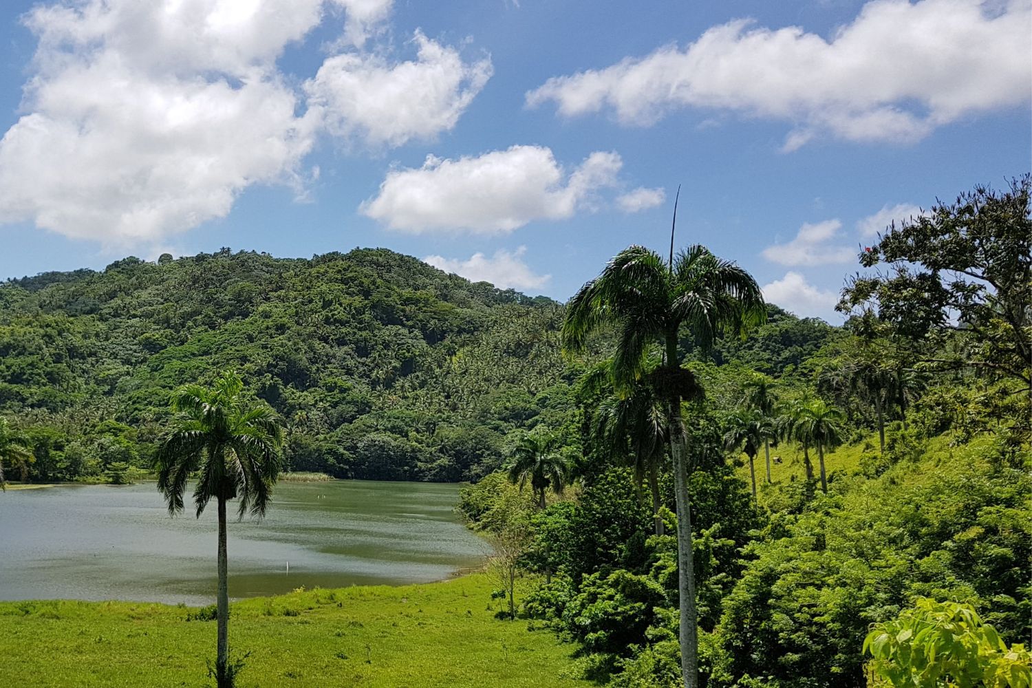 Home | Caribbean Biodiversity Fund