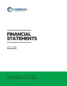Financial Statements: 2019 | Reports | Caribbean Biodiversity Fund