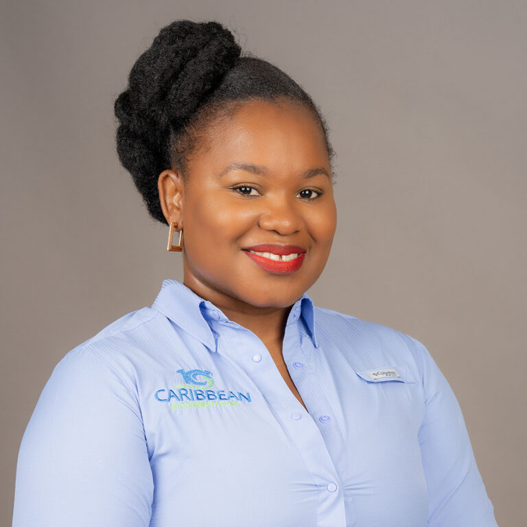 Rising from the Storm: Restoring Conservation in the Caribbean After ...