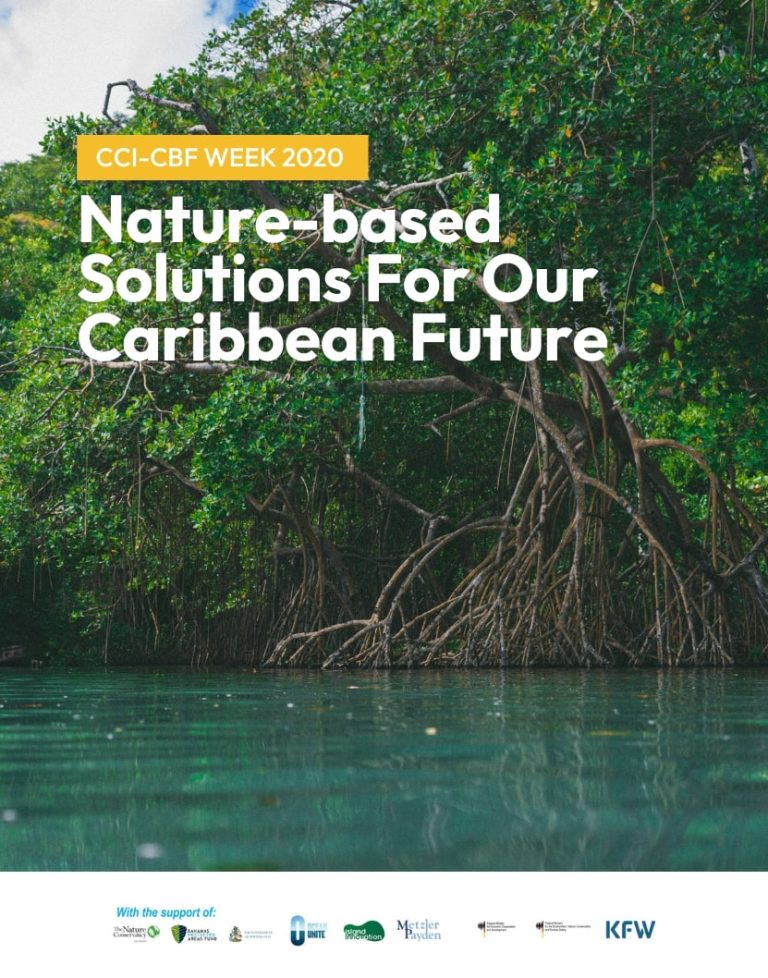 Nature-Based Solutions For Our Caribbean Future | Reports | Caribbean ...